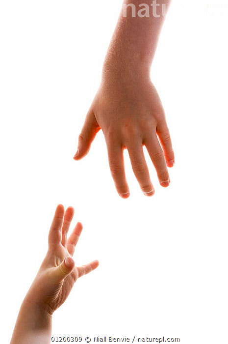 Children Hands Reaching