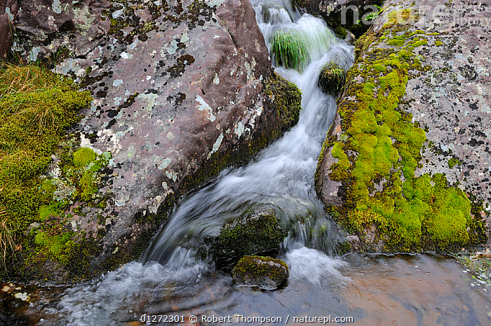 Stock photo of Upland stream, Brandon mountain, Upper Tarn, Dingle ...