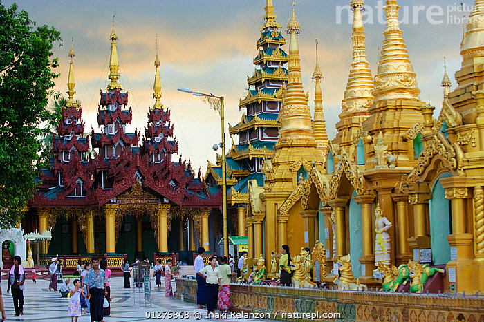 Shwedagon Paya A Visit To The Shwedagon Pagoda Global New Light Of