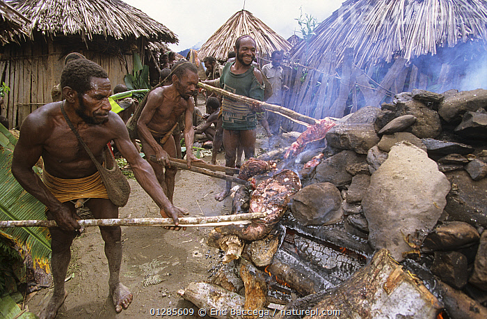 Stock photo of Hunters in traditional dress, of the Yali tribe cooking ...