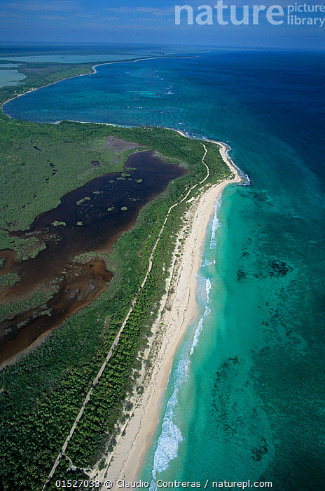 Stock photo of Aerial view of coastal lagoon and barrier reef, Sian Ka ...