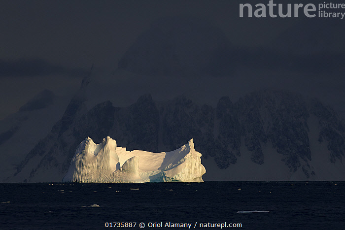 Stock photo of Morning light on and iceberg near Bongrain Point ...